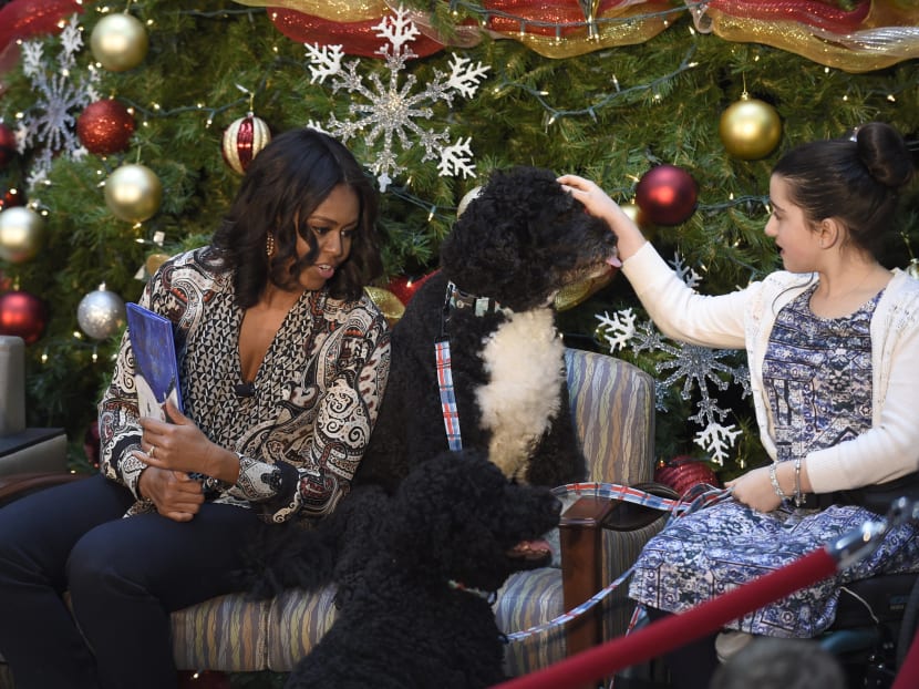 Hardly a dog’s life for Obama’s pets Bo and Sunny - TODAY