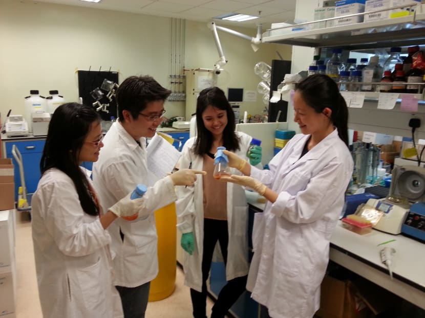 Second food science course launched at NTU - TODAY