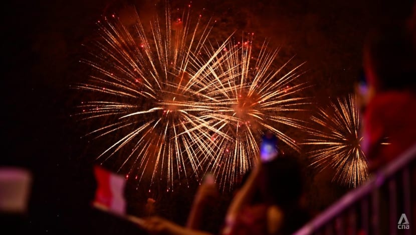 Singapore shines its light on the future with NDP 2023 - CNA