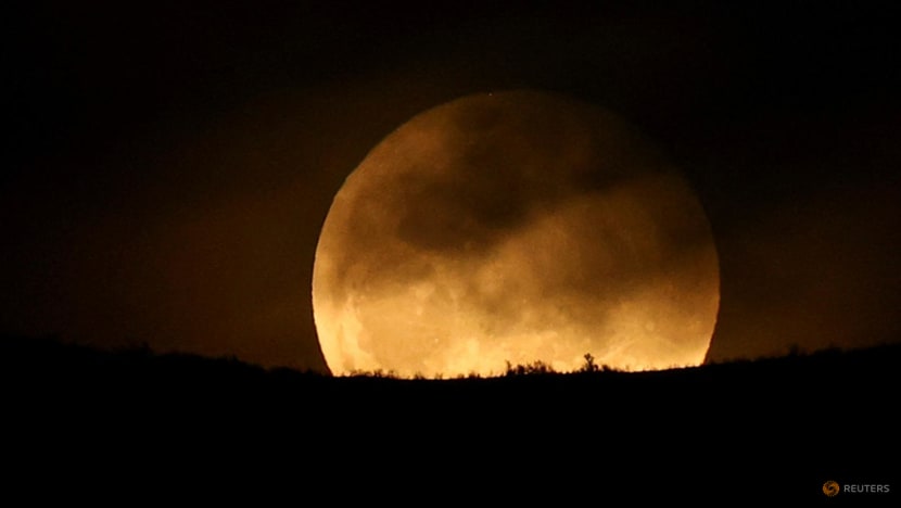 In pictures: Worm Moon illuminates the night sky - CNA