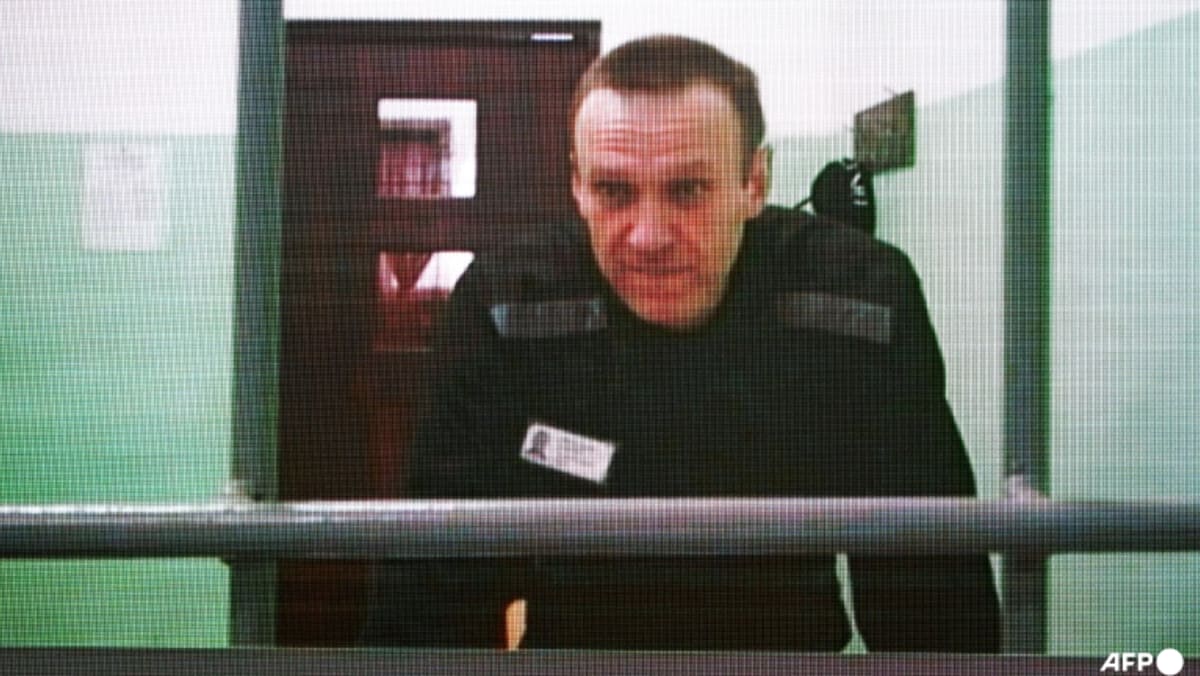 Russian Opposition Politician Navalny Tracked Down To Polar Wolf