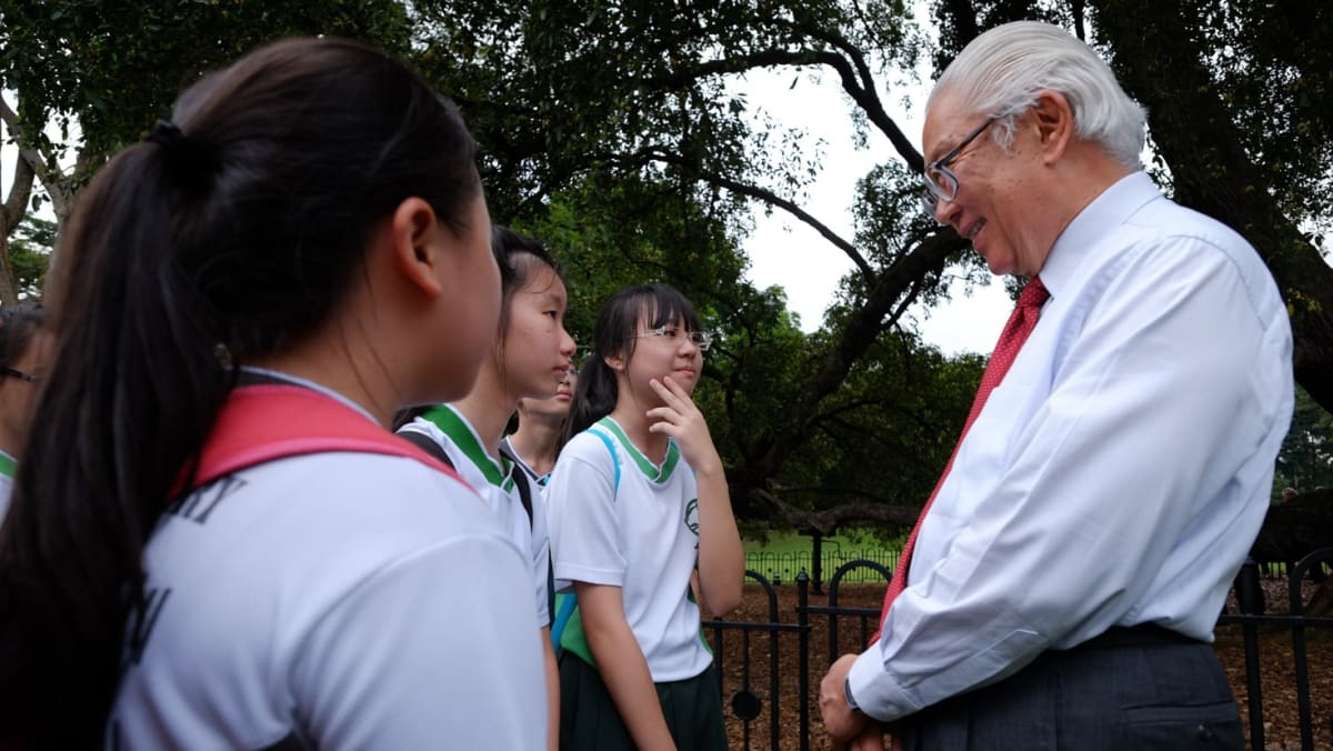 System developed to support iconic Tembusu trees - TODAY