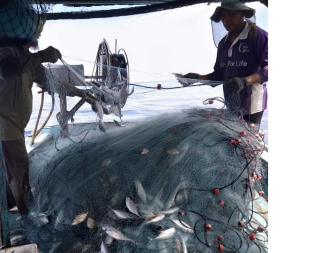 As movement curbs persist, Malaysian fishermen and farmers grapple with ...