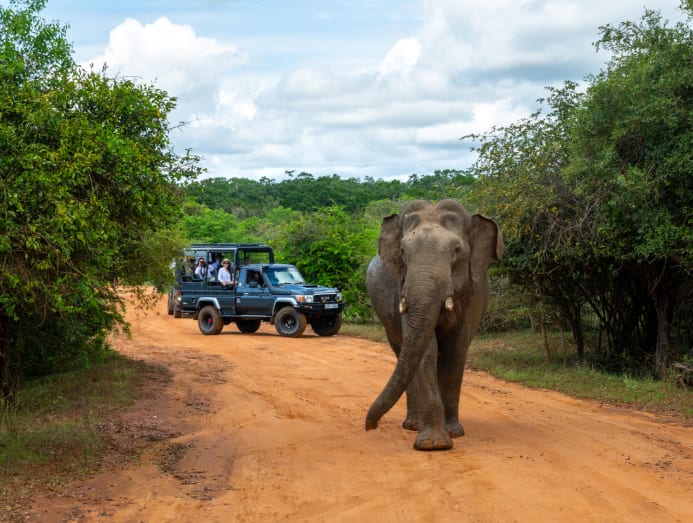 Why a stay at Hilton Yala Resort in Sri Lanka is an adventure in itself