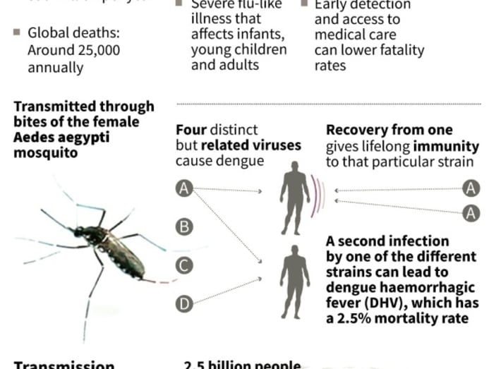 Why the dengue fever caseload has plummeted in parts of Southeast Asia ...