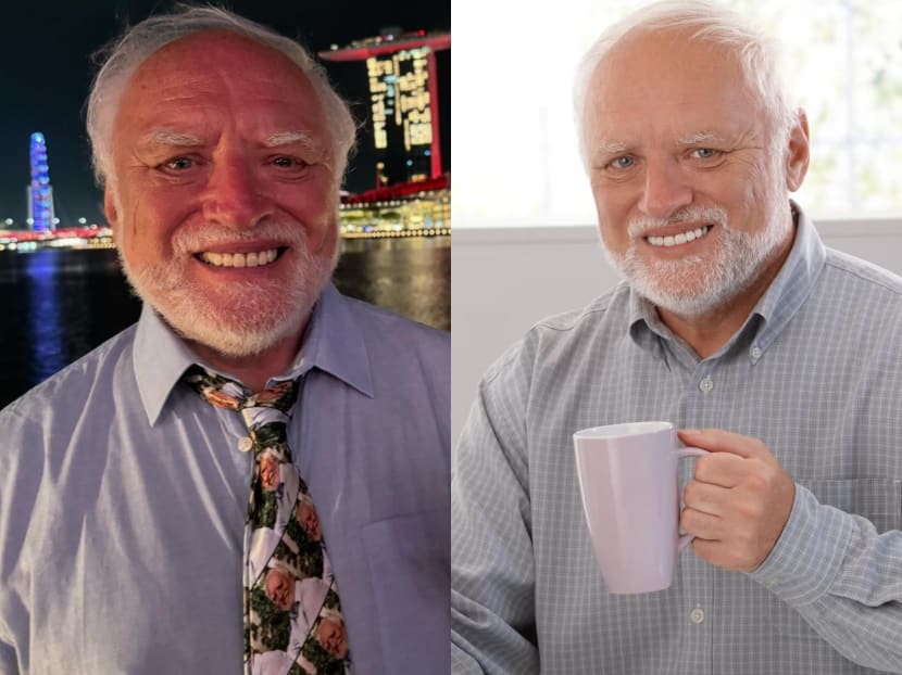 Man behind 'Hide The Pain Harold' meme is in Singapore for crypto event ...