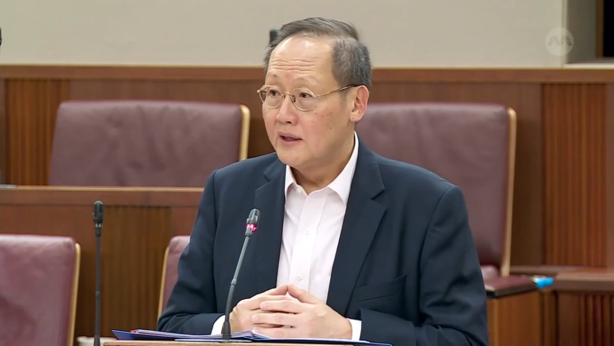 Tan See Leng on closing the pay gap among graduates - CNA