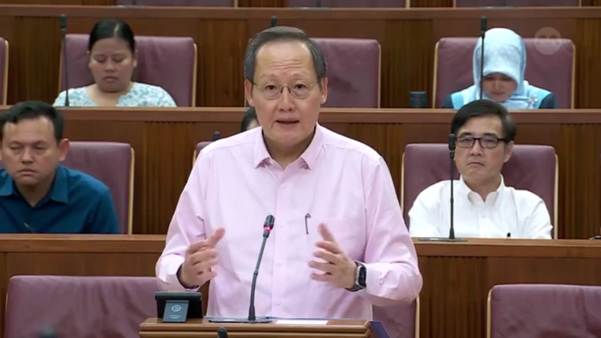 Tan See Leng on built-in flexibility for CPF withdrawal limit - CNA