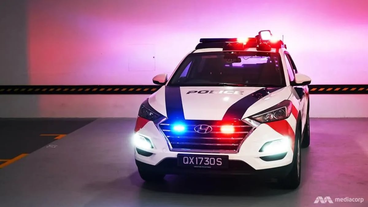 Police unveil new fast response car with number plate recognition, more ...