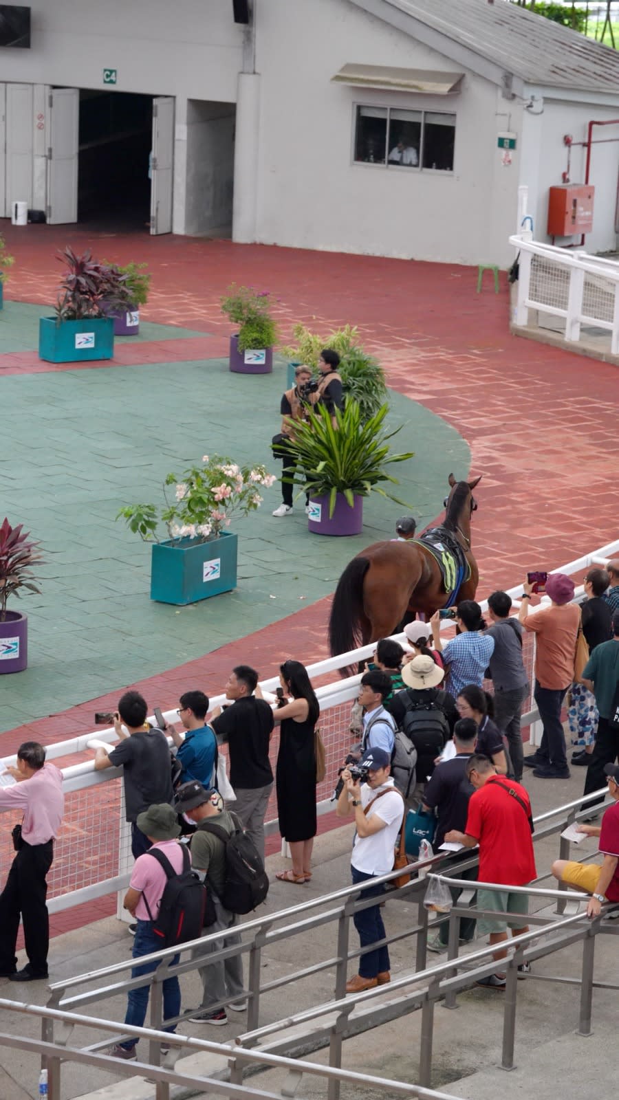 马场举行最后打比赛 逾5000人到场观赛 - 8world