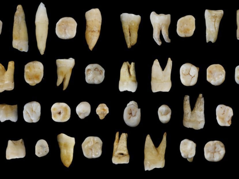 Teeth from Chinese cave recast history of early human migration - TODAY