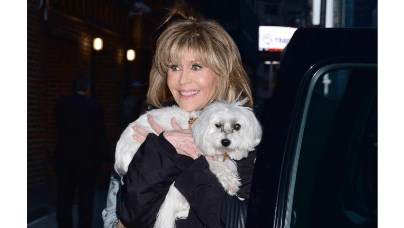 Jane Fonda Loves Erotic Fiction 8days