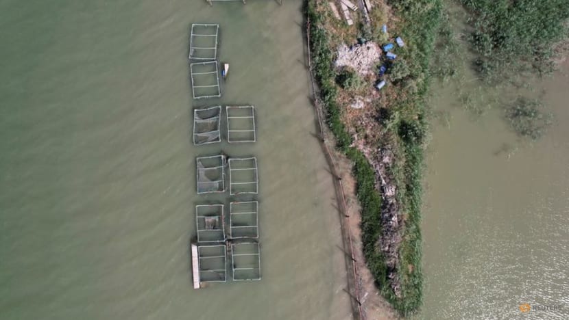 Iraq's water crisis drying up fish farming in Basra - CNA
