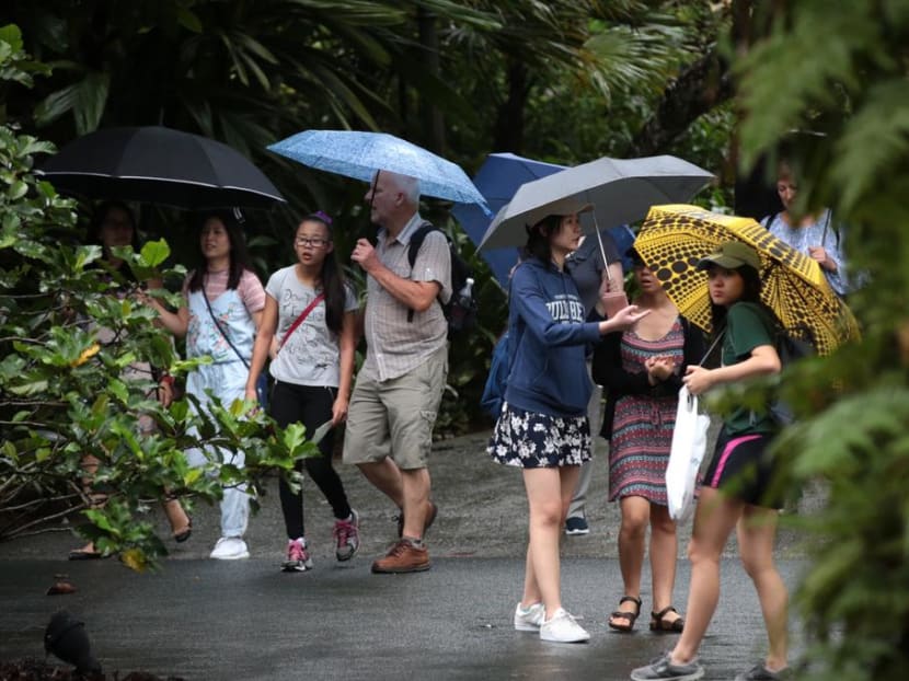 Hot and wet Chinese New Year with thundery showers in the afternoons ...