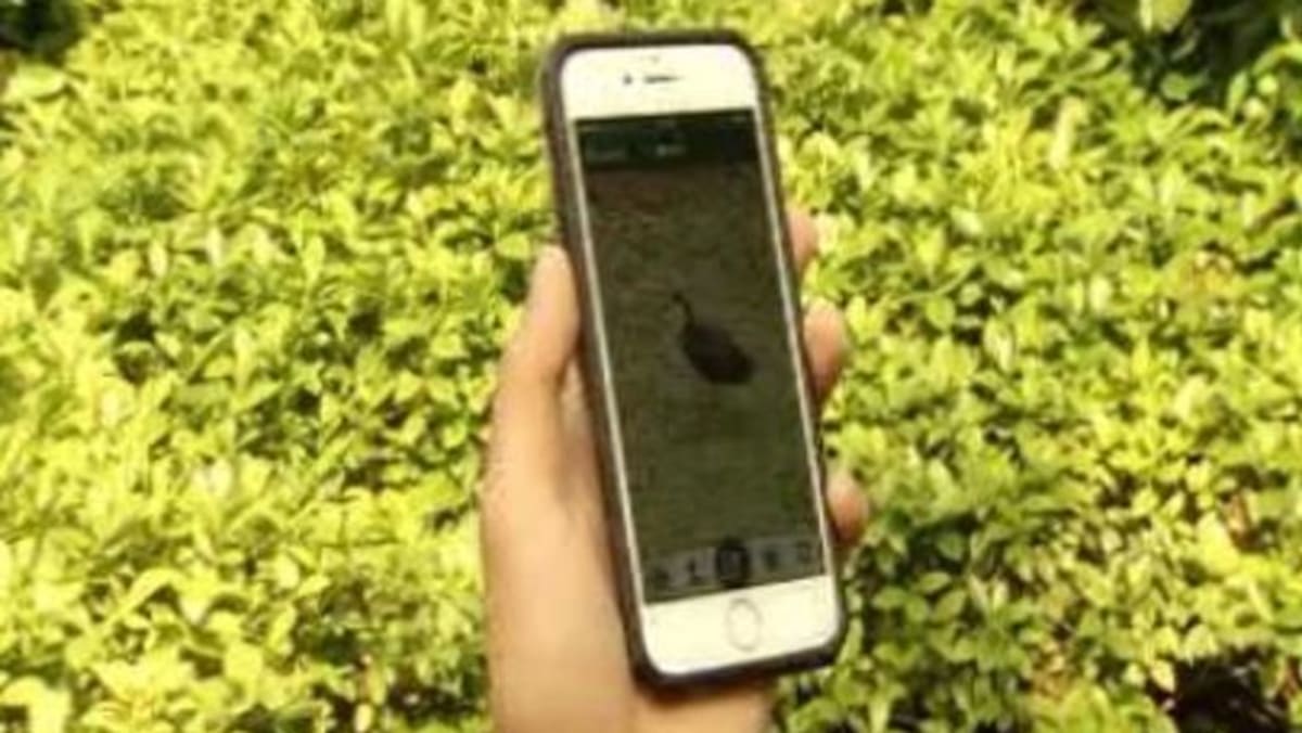 Sambil buru Pokemon Go, buru juga haiwan sebenar menerusi apps BioAtlas ...