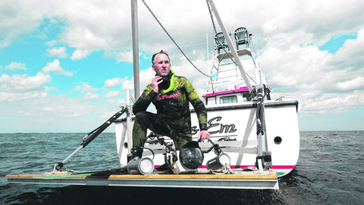 National Geographic’s Brian Skerry on the most amazing underwater ...