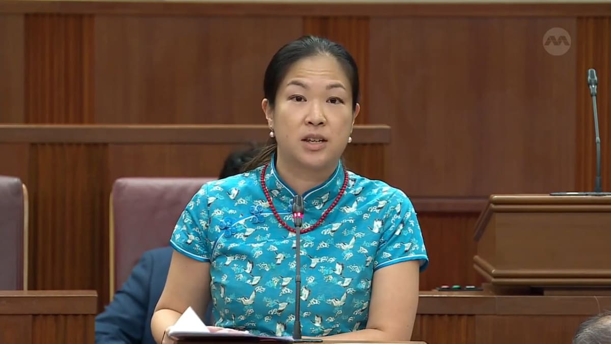 He Ting Ru on Law Enforcement and Other Matters Bill - CNA