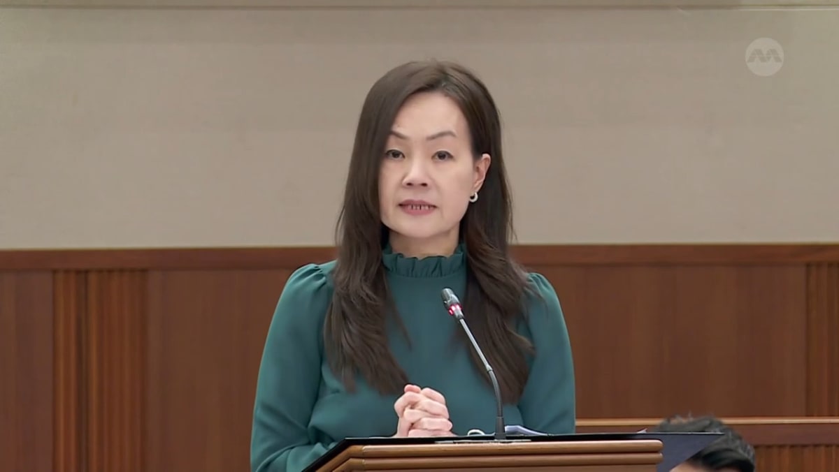 Debate on President’s Address: Rachel Ong on role of non-SMEs in ...