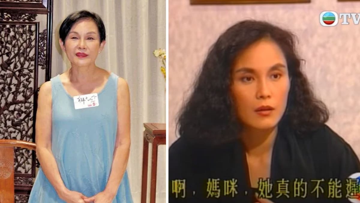 HK Actress Violet Lee, 70, Dies After Refusing Medical Treatment ...