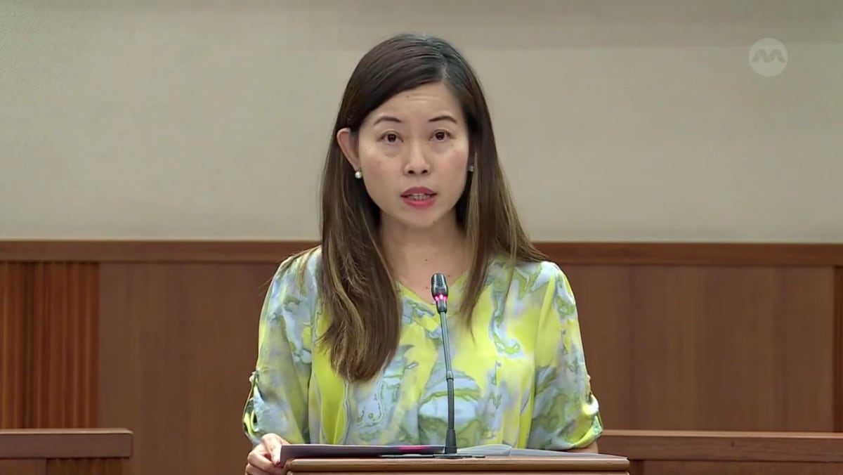 Ng Ling Ling on Maintenance of Parents (Amendment) Bill - CNA