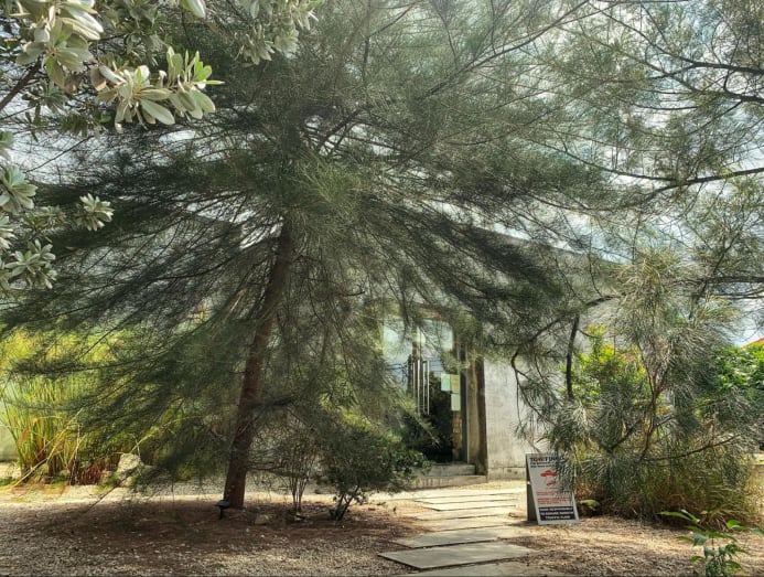 JB’s cafe scene: How it started and best coffee joints to vist - CNA ...