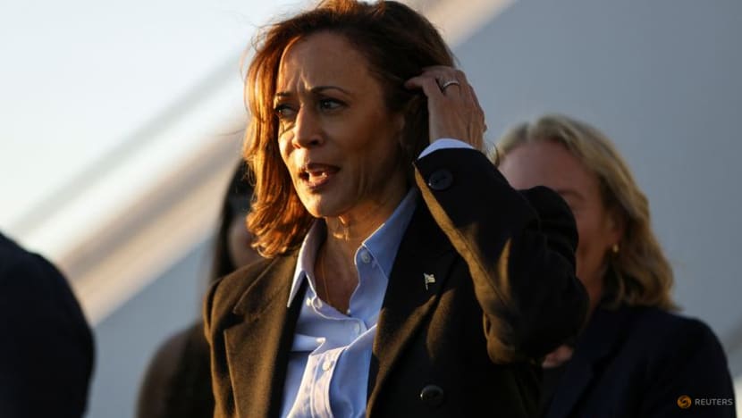 Putin backs Harris for US president, with wry smile - CNA