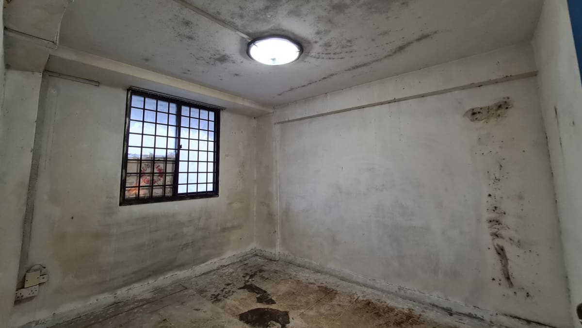 Mould Problem At Home? Here's What You Can Do To Remove Mould & How To ...