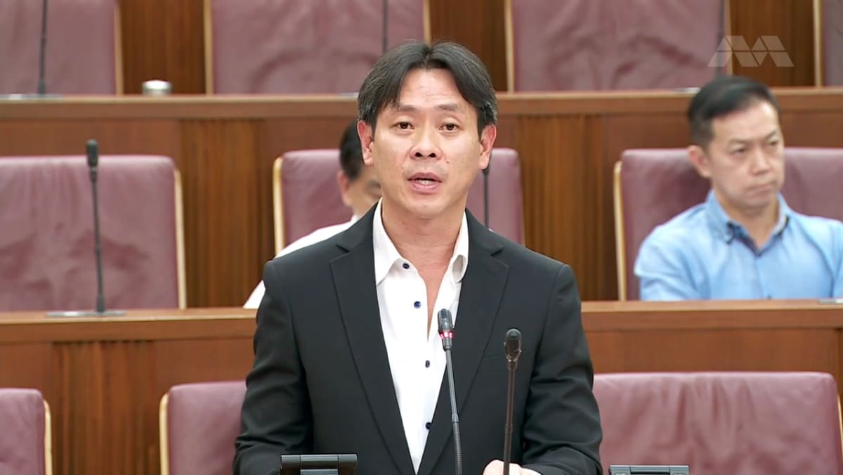 Louis Ng On Carbon Pricing Amendment Bill Cna