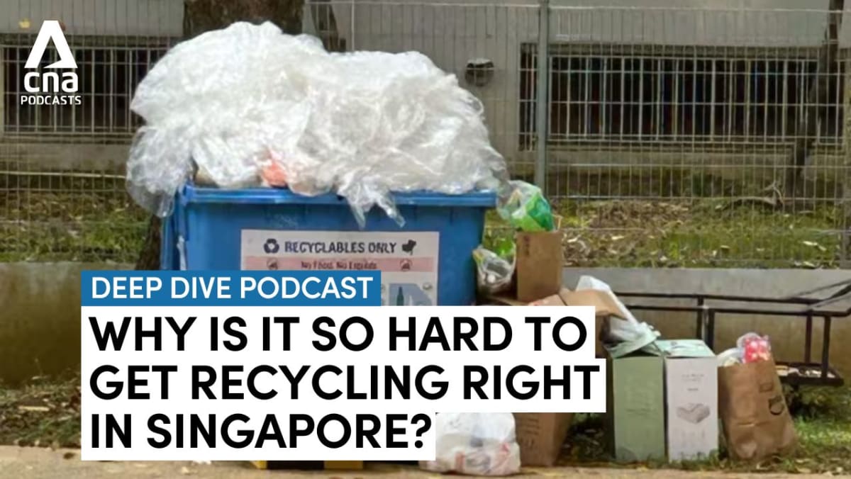 Deep Dive - Why is it so hard to get recycling right in Singapore? - CNA
