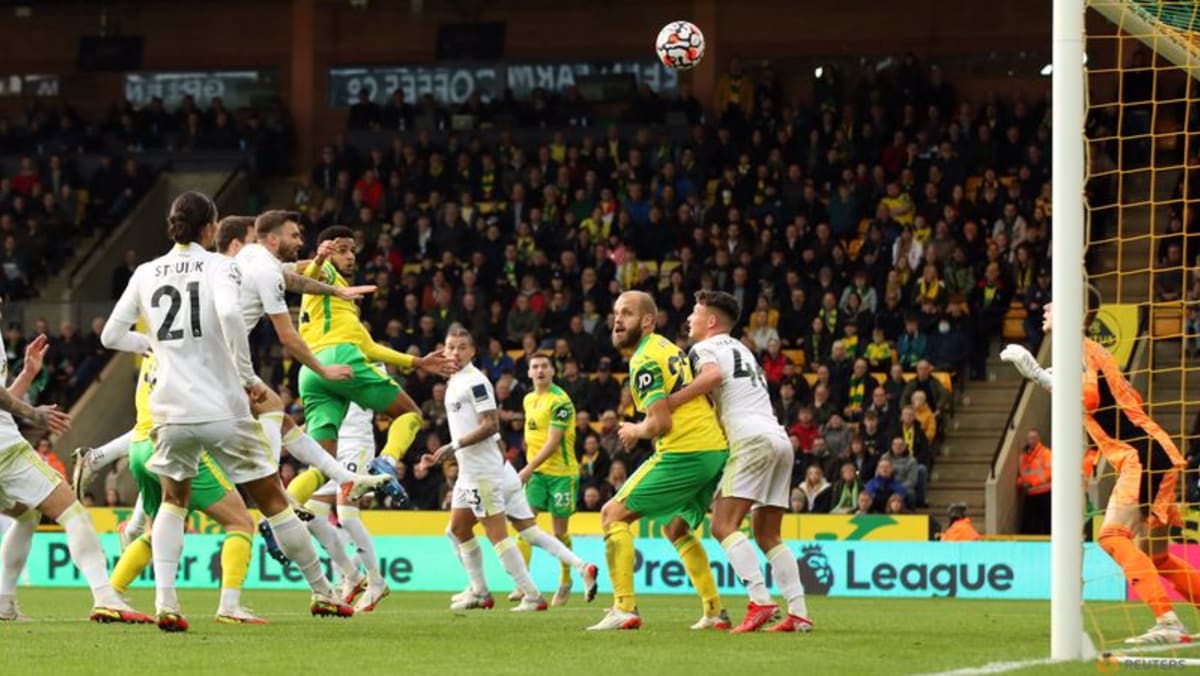 Leeds beat Norwich 2-1 to stay out of drop zone - CNA