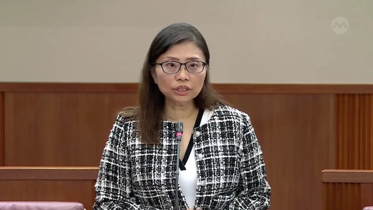 Committee of Supply 2024 debate, Day 5: Hazel Poa on housing and TFR - CNA