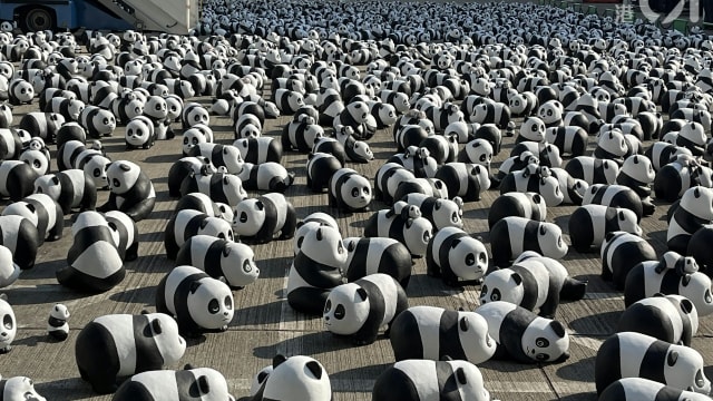 2500只熊猫雕塑 将于香港展出 - 8world