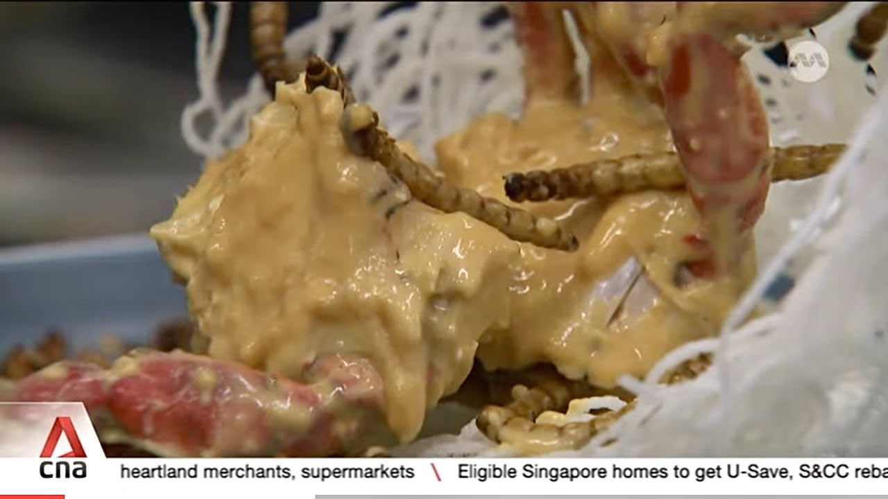 Eating Bugs In S’pore: Here Are The Nutritional Values Of Insects Like ...