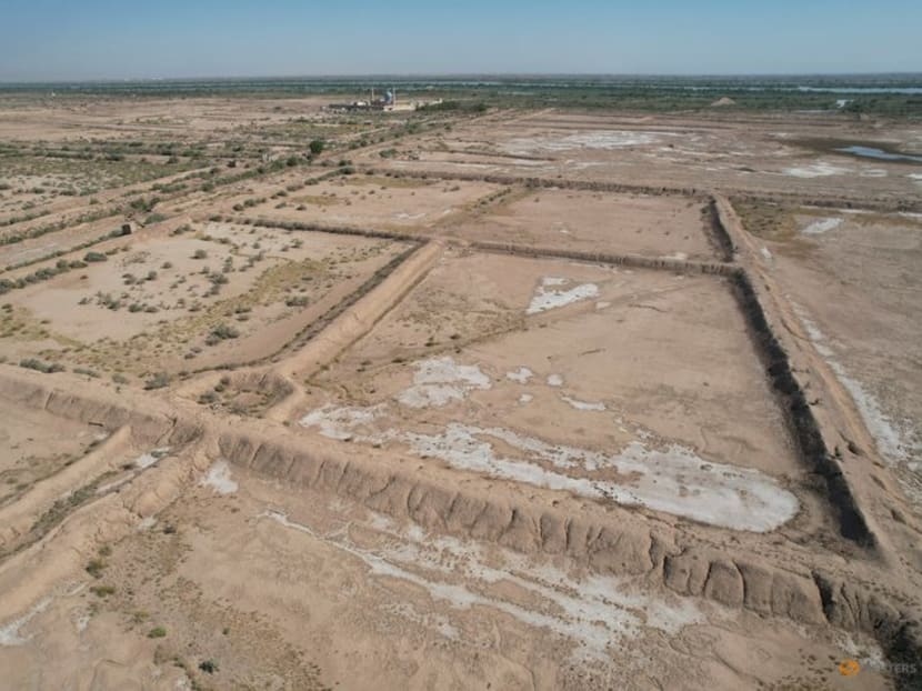 Iraq's water crisis drying up fish farming in Basra - TODAY