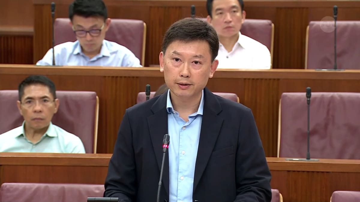Chee Hong Tat on Government collection of property tax - CNA