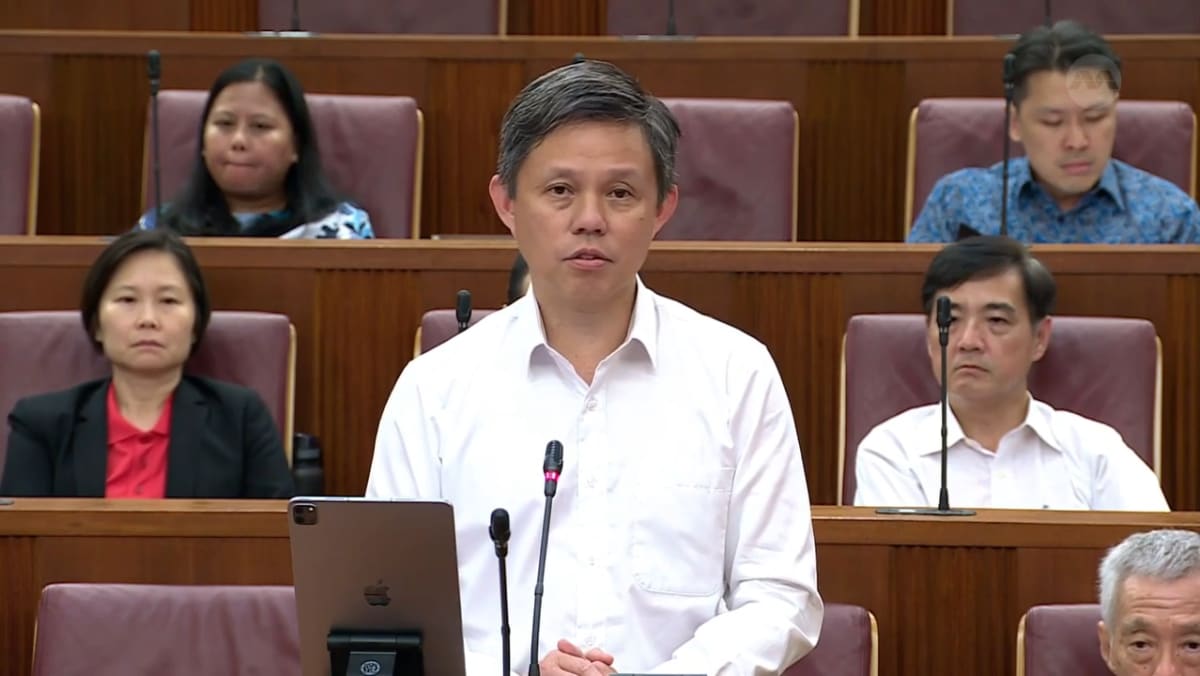 Chan Chun Sing on electoral boundary review process - CNA