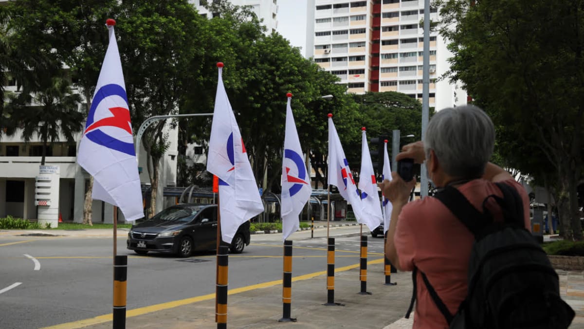Not campaign period yet, so laws on display of party flags for GE don’t ...