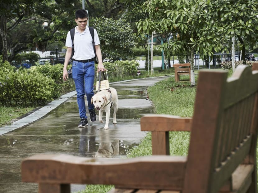 Analysis: Regulations allow F&B joints to let in guide dogs for the ...