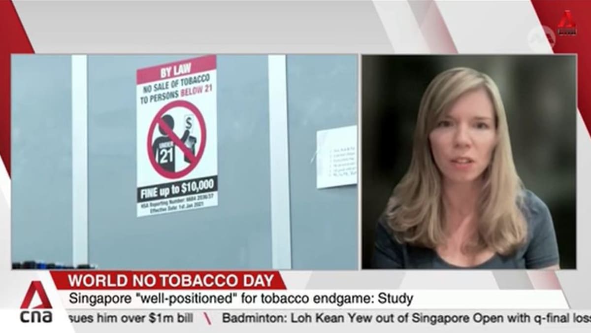 Asst Prof Yvette van der Eijk on a 'tobacco endgame' in Singapore - CNA Asst Prof Yvette van der Eijk on a 'tobacco endgame' in Singapore - CNA