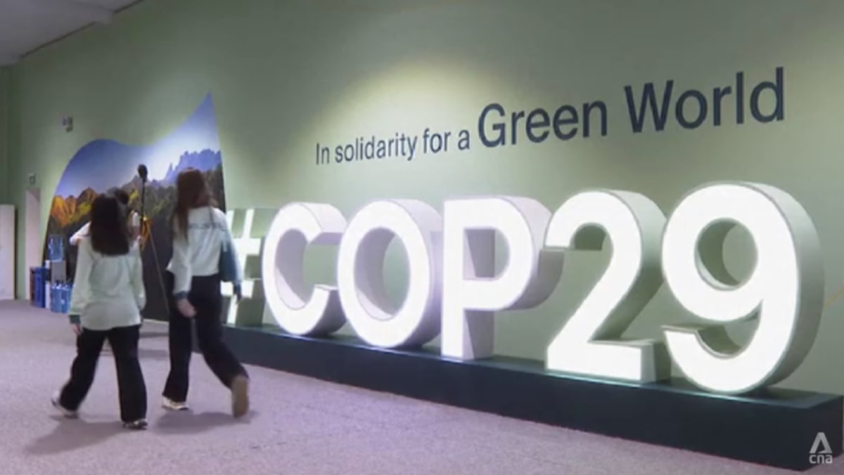 COP29: Singapore pledges US$500m to accelerate capital flows into green projects - CNA