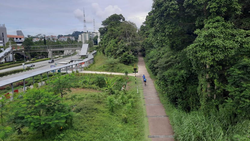 Revamped Rifle Range Nature Park opens with 7km trails, 31m lookout ...