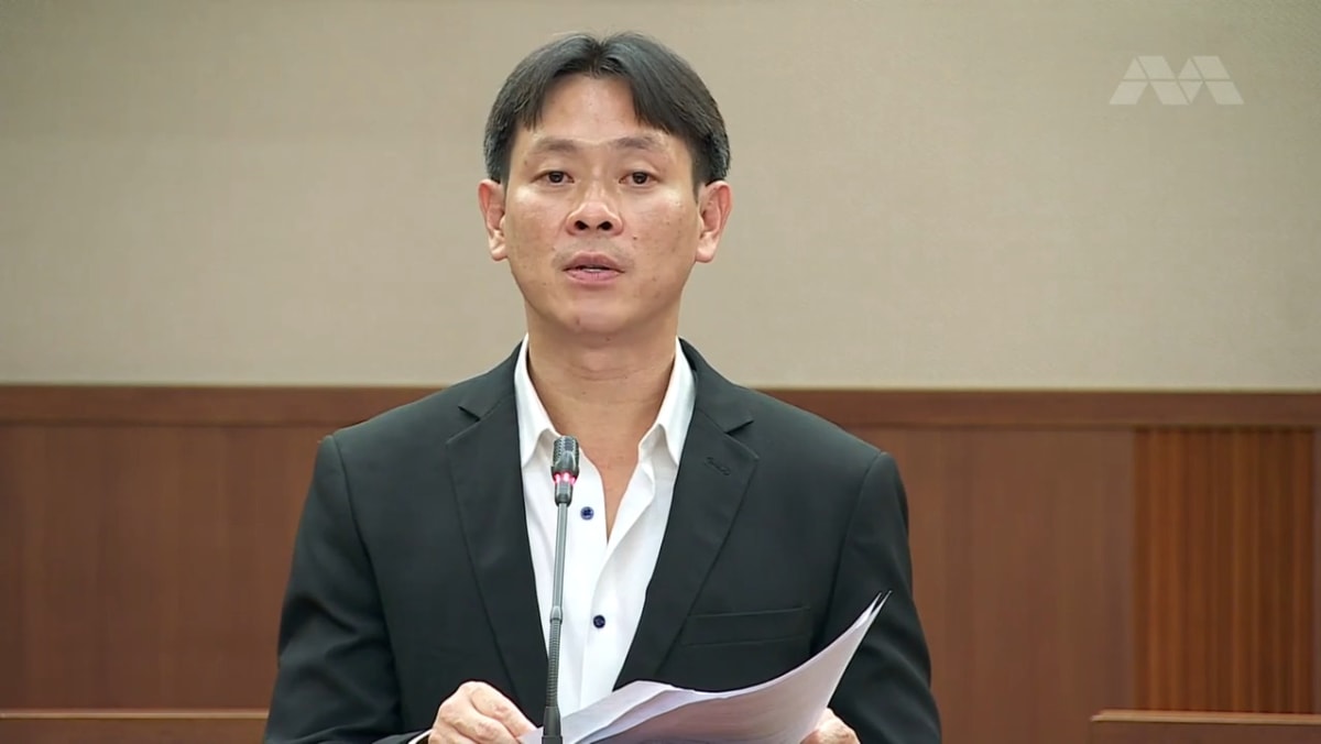 Louis Ng on Adoption of Children Bill - CNA