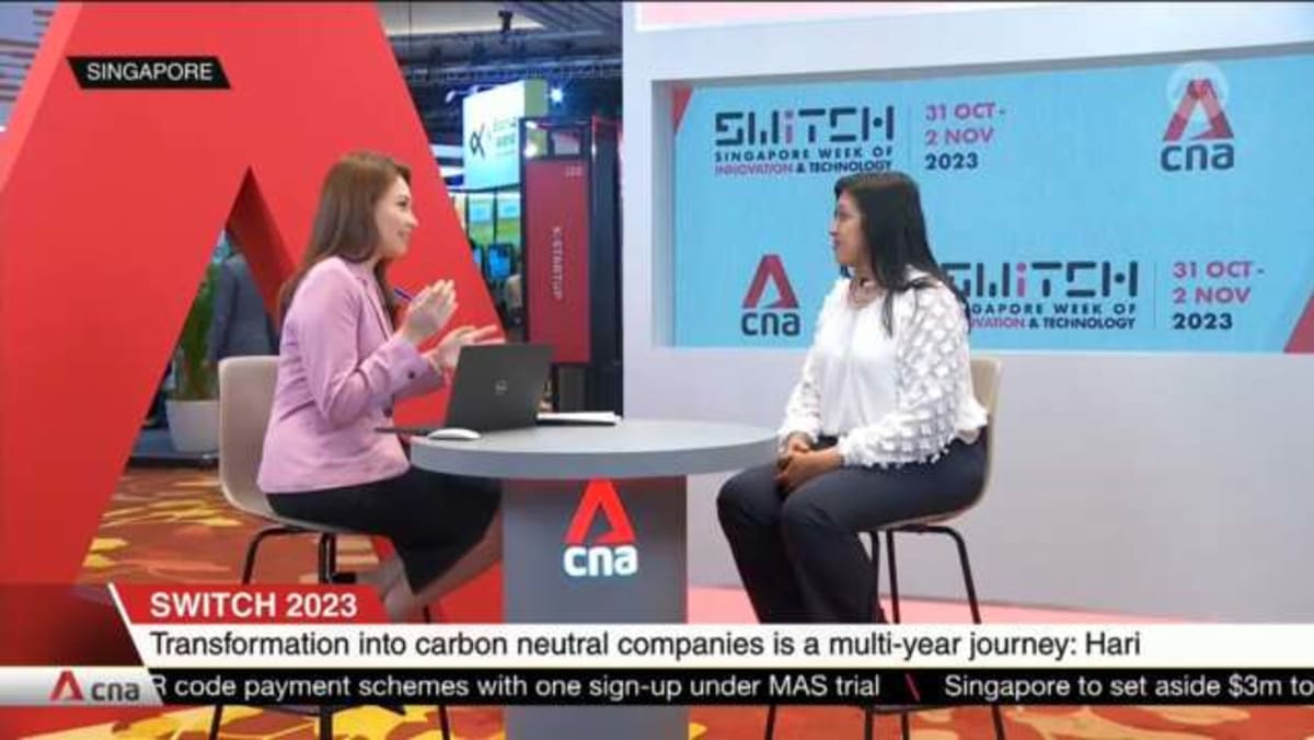 Sensible for companies to prepare for geopolitical risks and ...