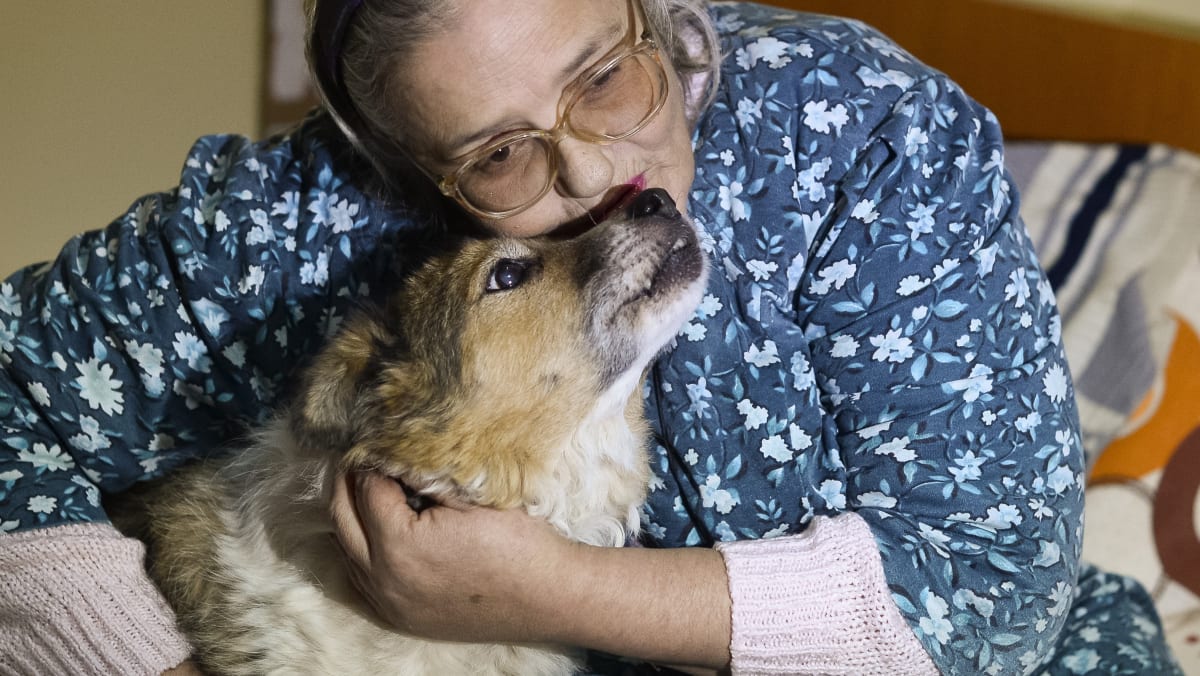 Street dogs transform lives of Bucharest elderly - TODAY