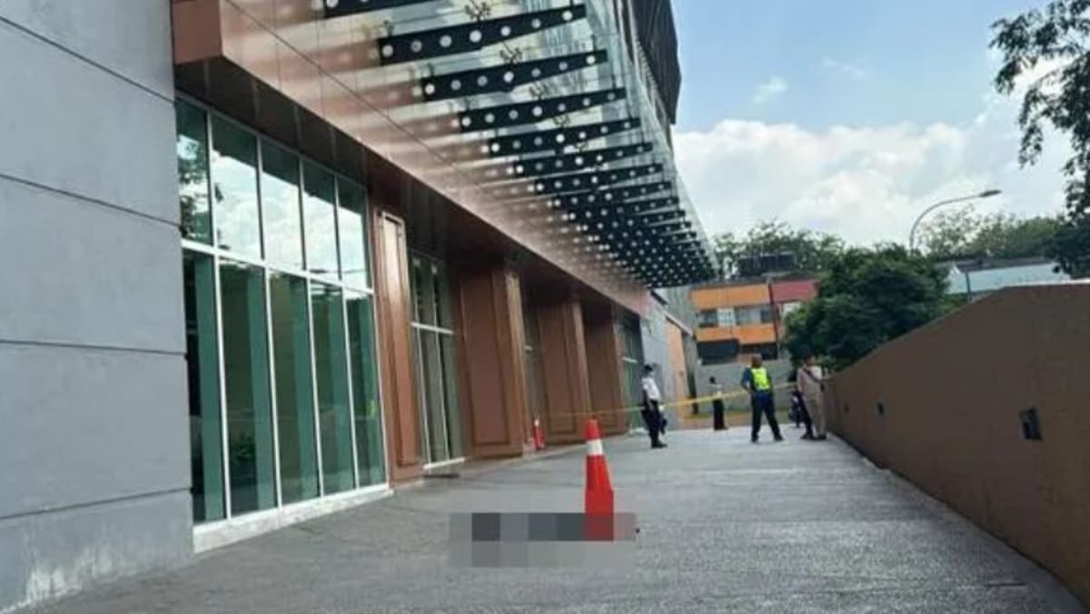 Bayi baru lahir maut selepas dipercayai dicampak dari kondominium di KL ... Bayi baru lahir maut selepas dipercayai dicampak dari kondominium di KL ...