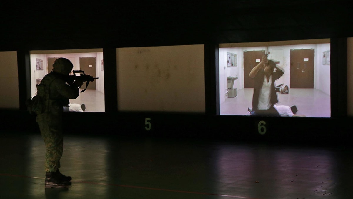 Army units to get homeland security training at new institute - TODAY