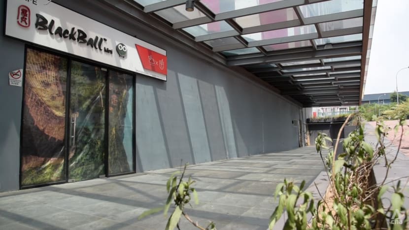 Opening of Mustafa's first overseas flagship store in Johor Bahru ...