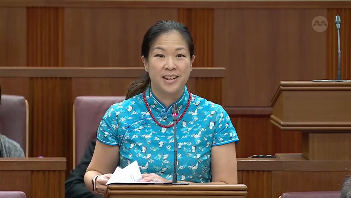 Committee of Supply 2024 debate, Day 7: He Ting Ru on strengthening ...