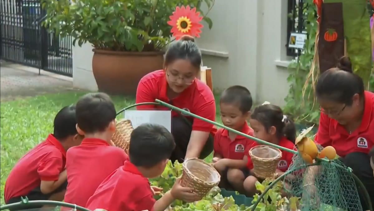 Green initiatives by pre-schools sow seeds of sustainability early ...