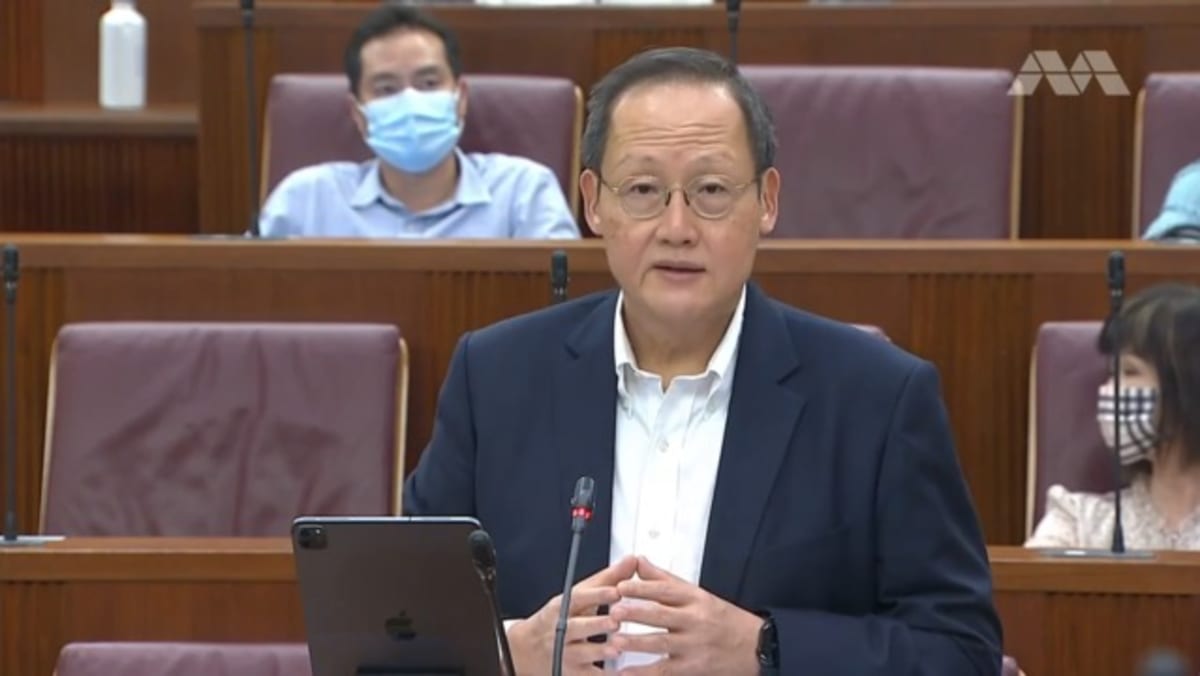 Tan See Leng on Retirement and Re-employment (Amendment) Bill - CNA